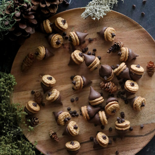 Peanut Butter Chocolate Acorns {Easy Fall Snacks} | Grab the Mangos