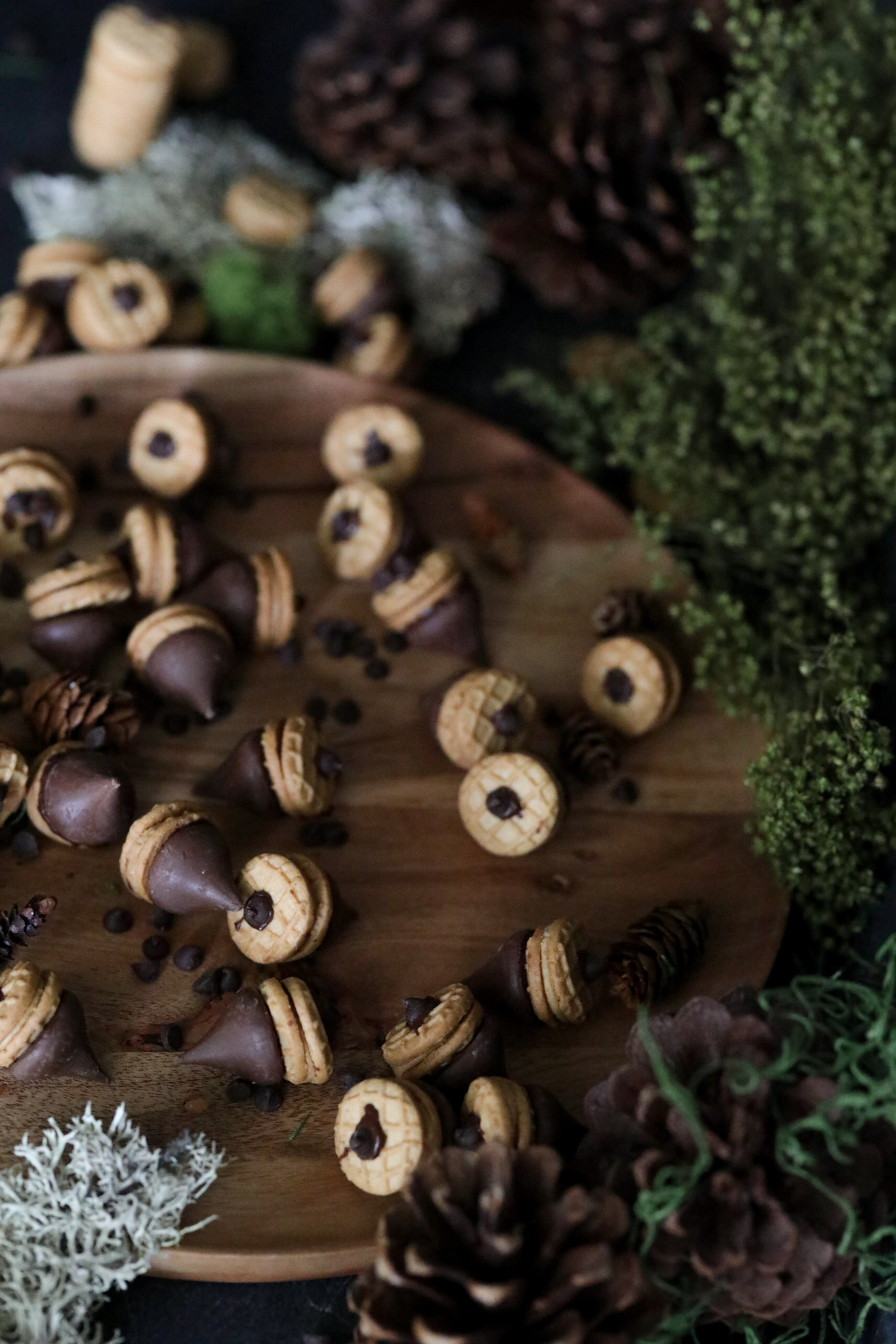Peanut Butter Chocolate Acorns {Easy Fall Snacks} | Grab the Mangos